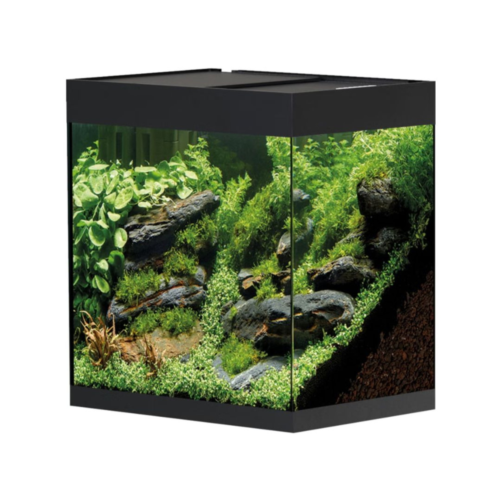 Oase StyleLine 85 Aquarium