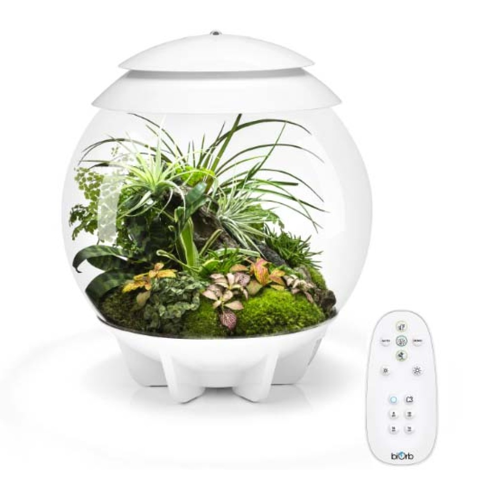 Oase biOrb AIR 30