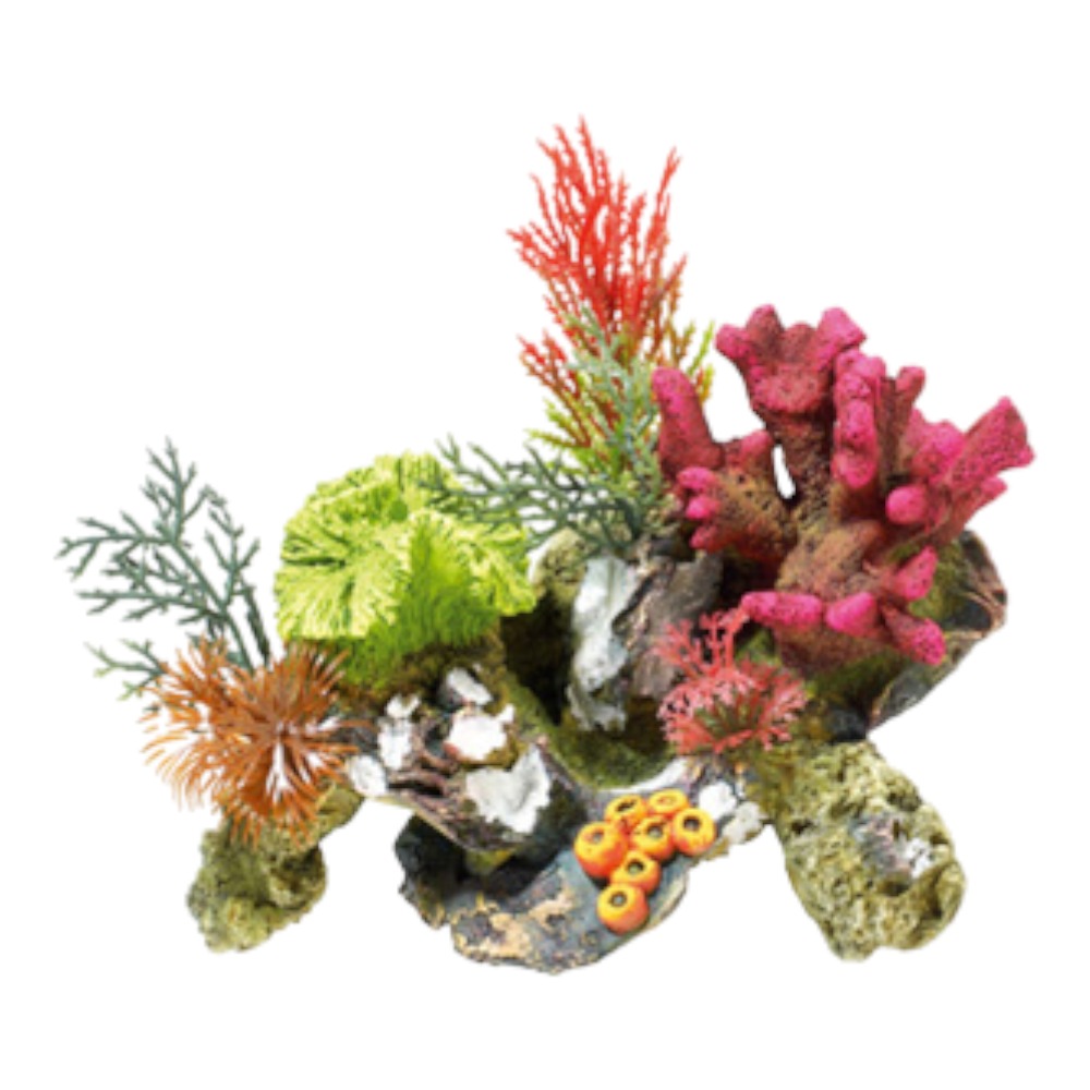 Classic Coral Rock & Plant 3134
