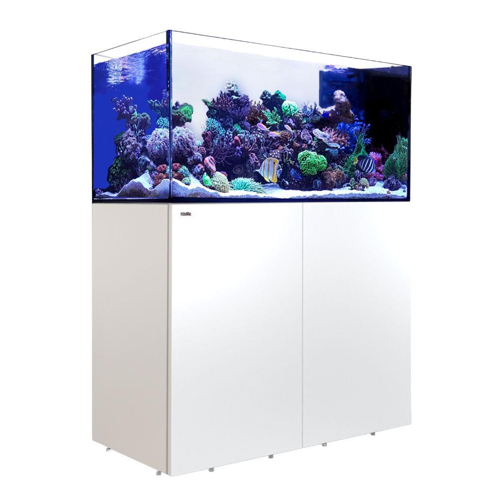 Red Sea Reefer Peninsula