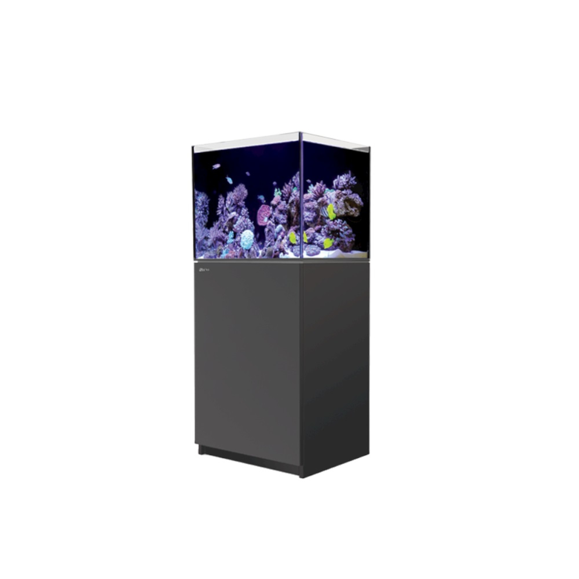 Red Sea Reefer G3 170 Complete Reef System – Black | 60cm Marine Aquarium