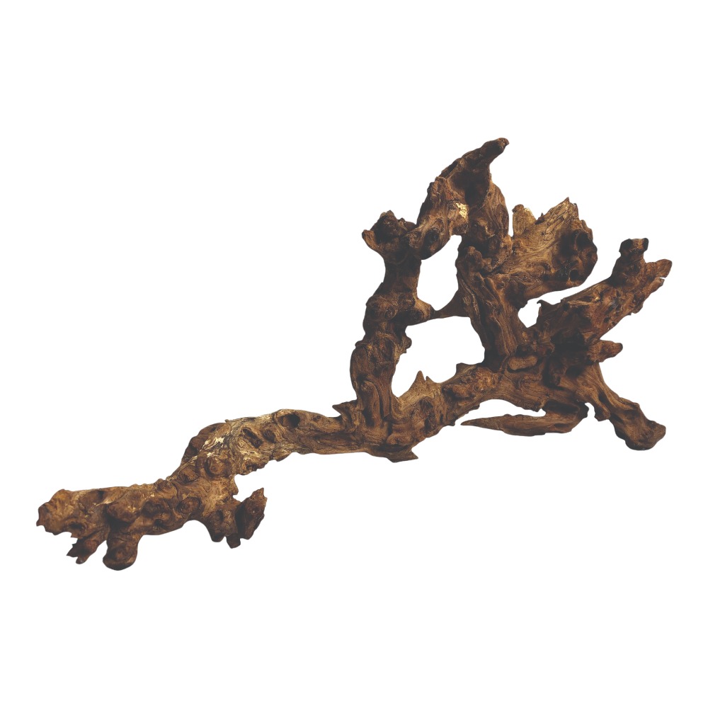 Mopani Wood Jumbo 50-60cm