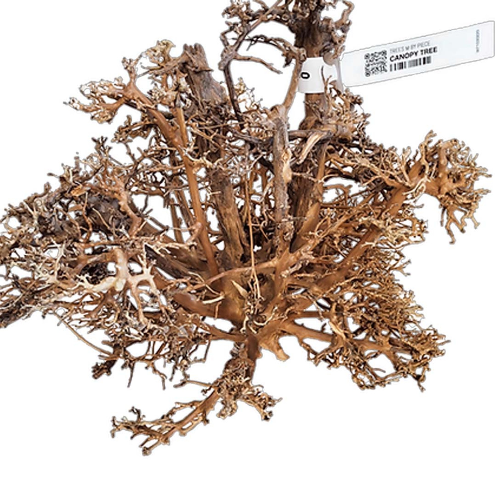 WIO Canopy Wood