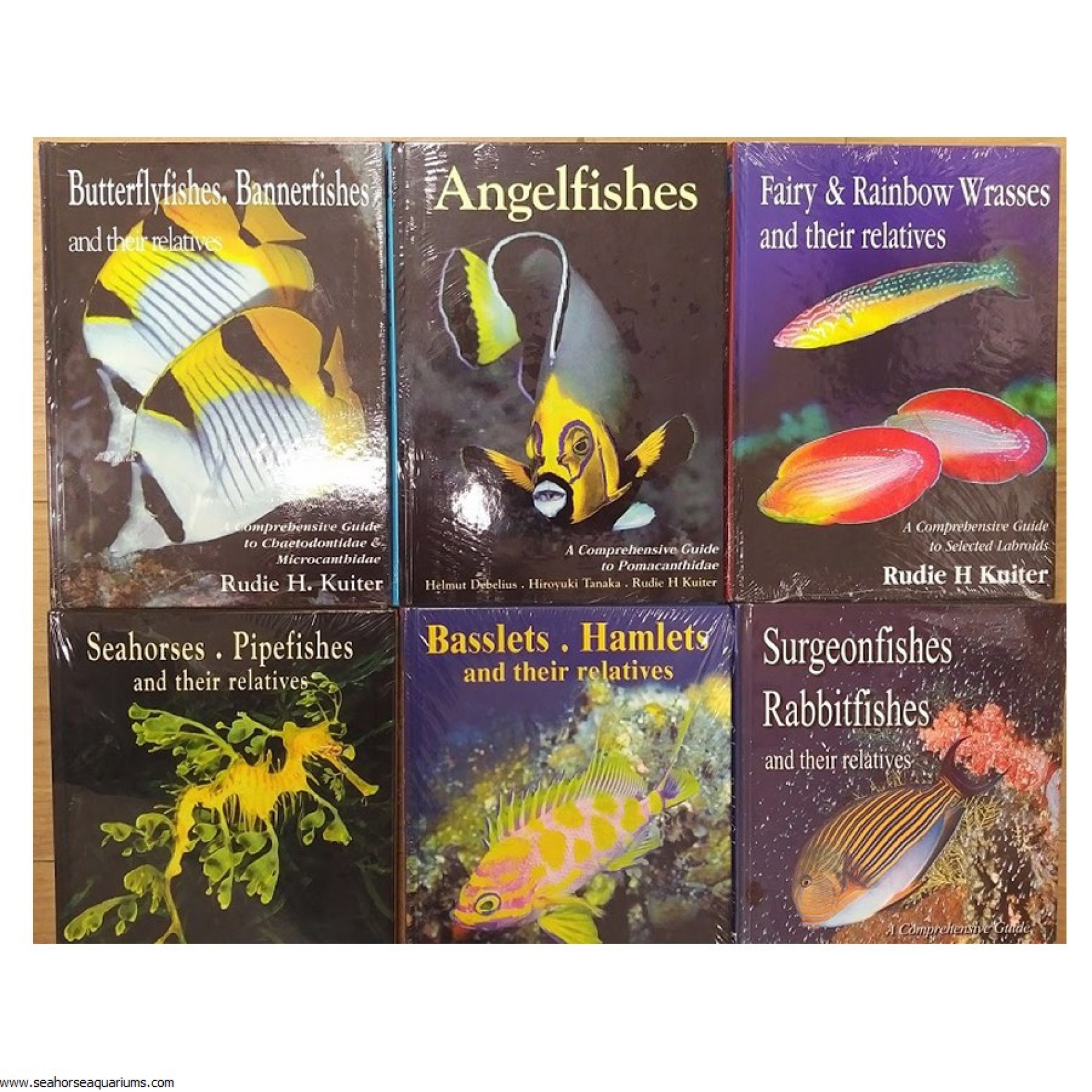 Angelfishes Guide