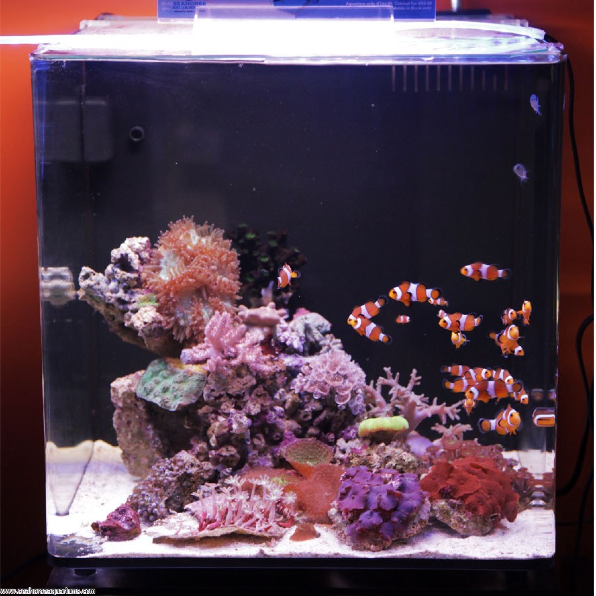 Marine Tank packages
