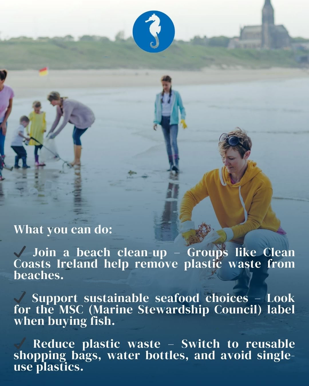 Celebrating World Wildlife Day: Protecting Ireland’s Marine Life